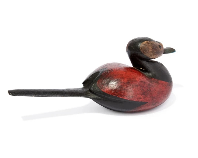 Guy Taplin | Ruddy Duck | MutualArt