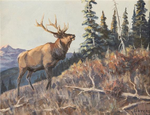 Leslie Hamilton Peters | Elk | MutualArt