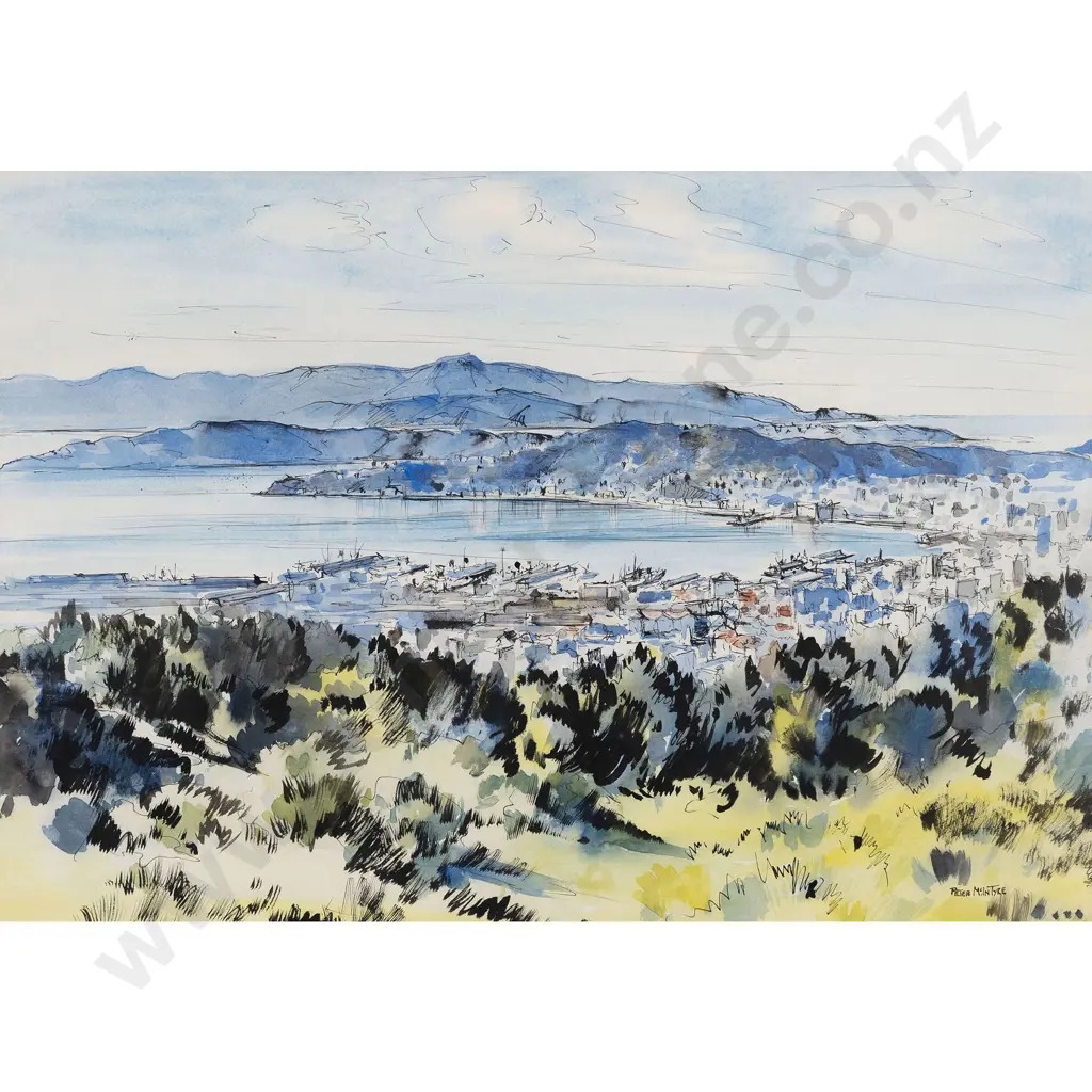 Peter McIntyre | Wellington Harbour | MutualArt