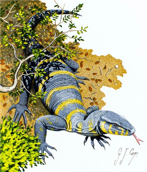 Geoffrey Cox | Dinosaurus - Palaeosaniwa (1997) | MutualArt