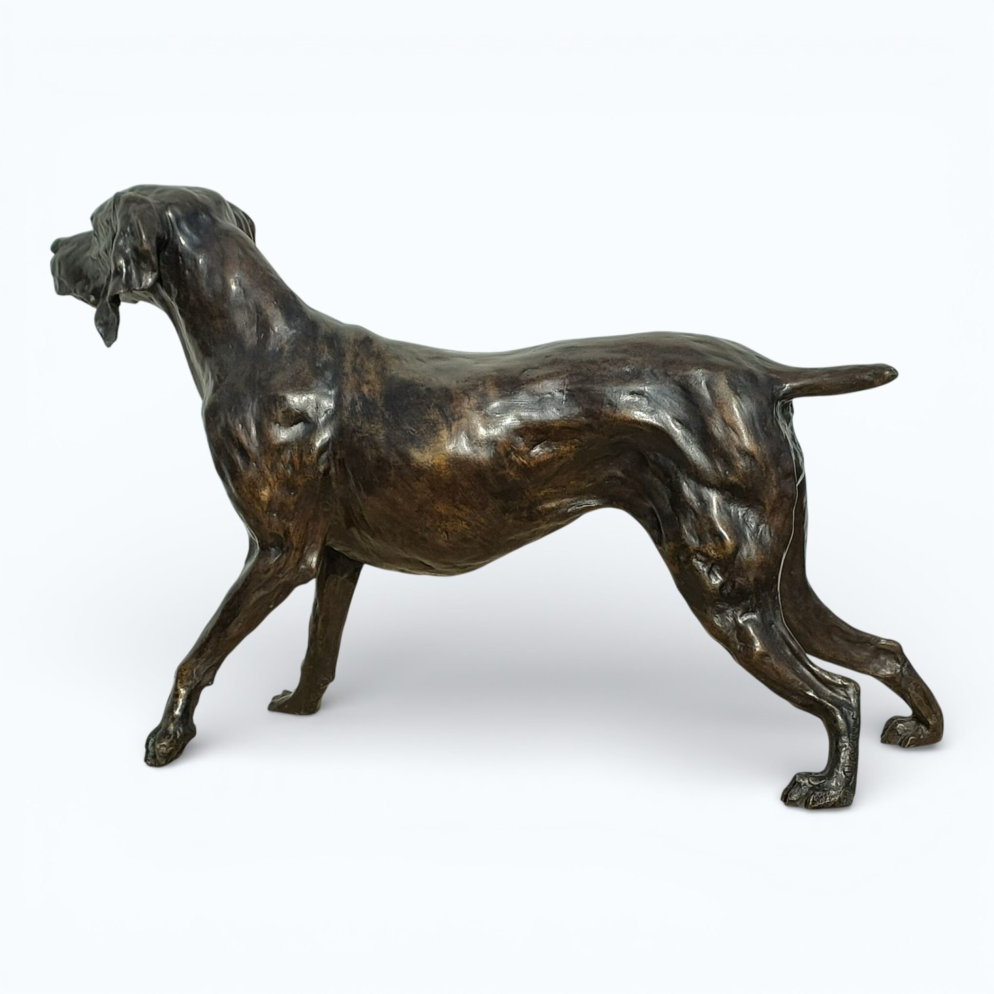 José María David | Chien de chasse | MutualArt