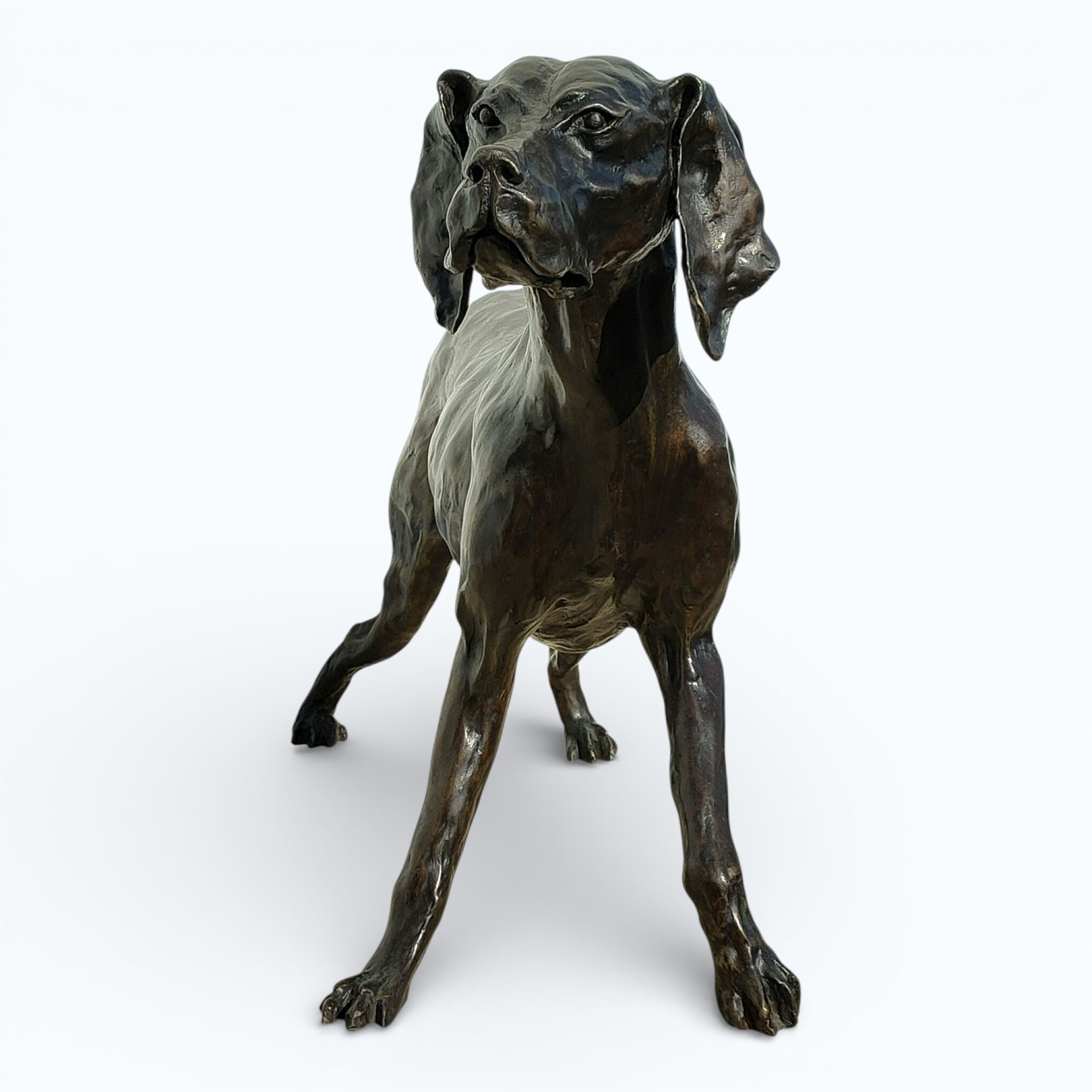 José María David | Chien de chasse | MutualArt