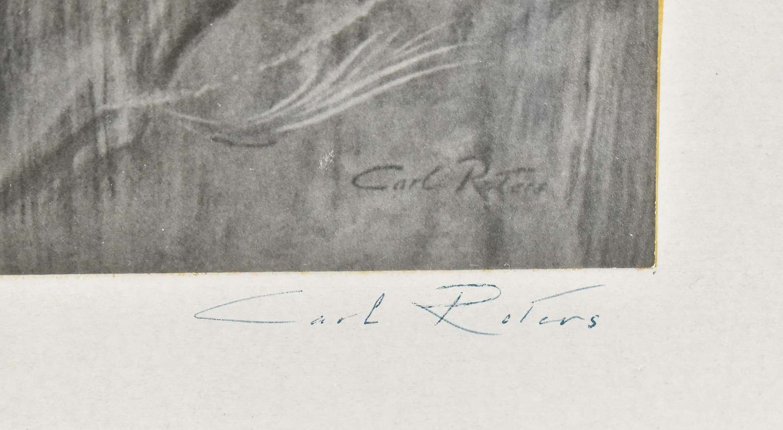 Carl Roters | Antelope Riders | MutualArt