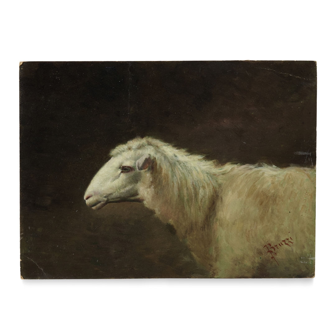 Stefano Bruzzi | Sheep | MutualArt