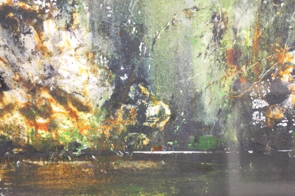 Geoffrey Dyer | Rock Face, Gordon River, Tasmania II (2003) | MutualArt