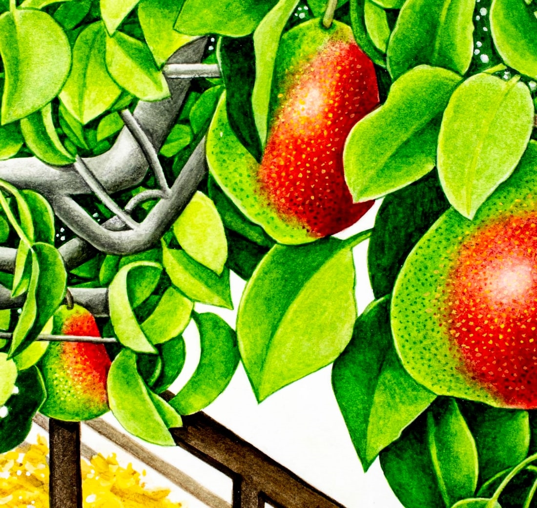 Charlotte Knox | Autumn - Pears (1993) | MutualArt