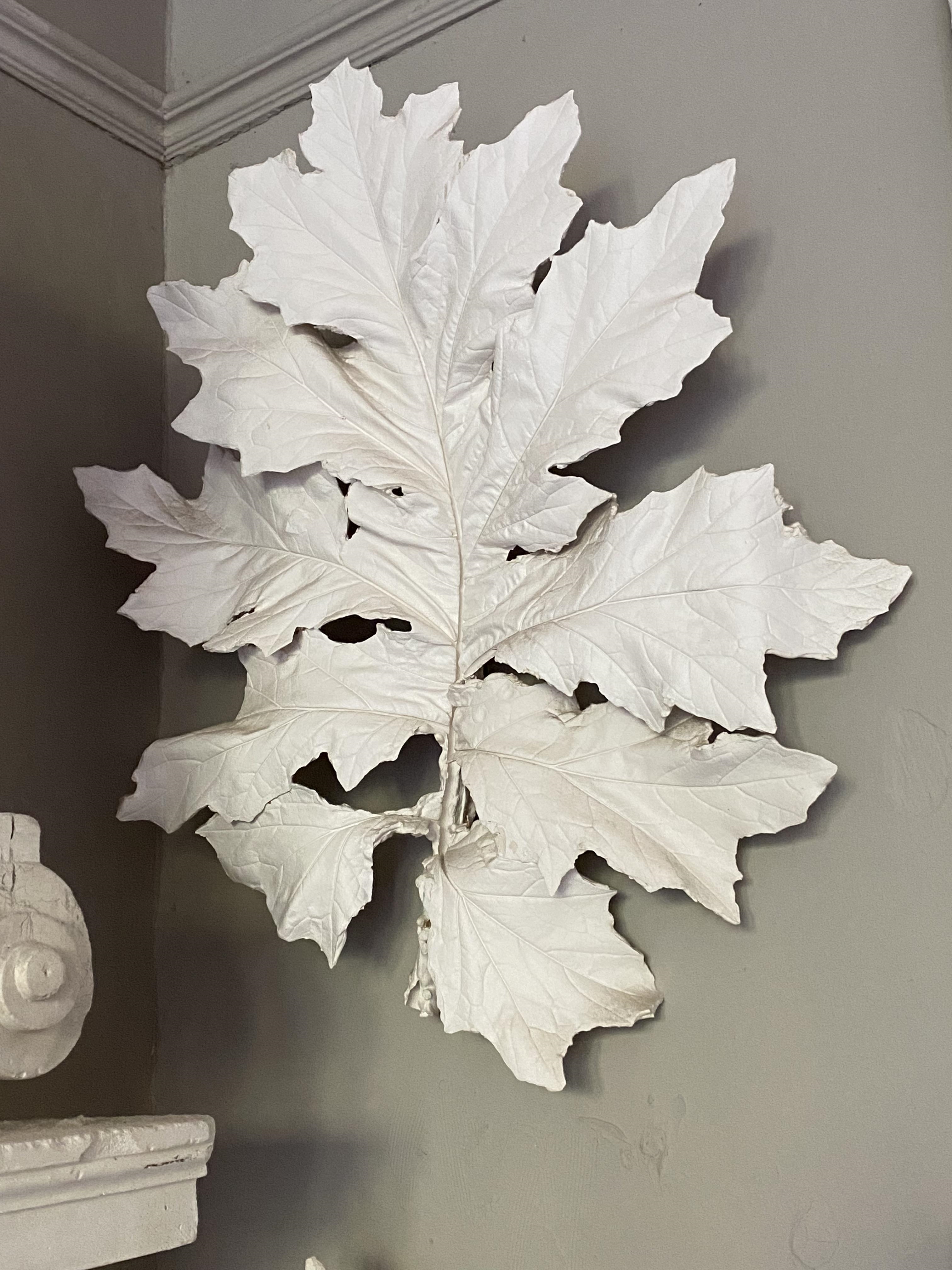 Peter Hone | Three acanthus leaves | MutualArt