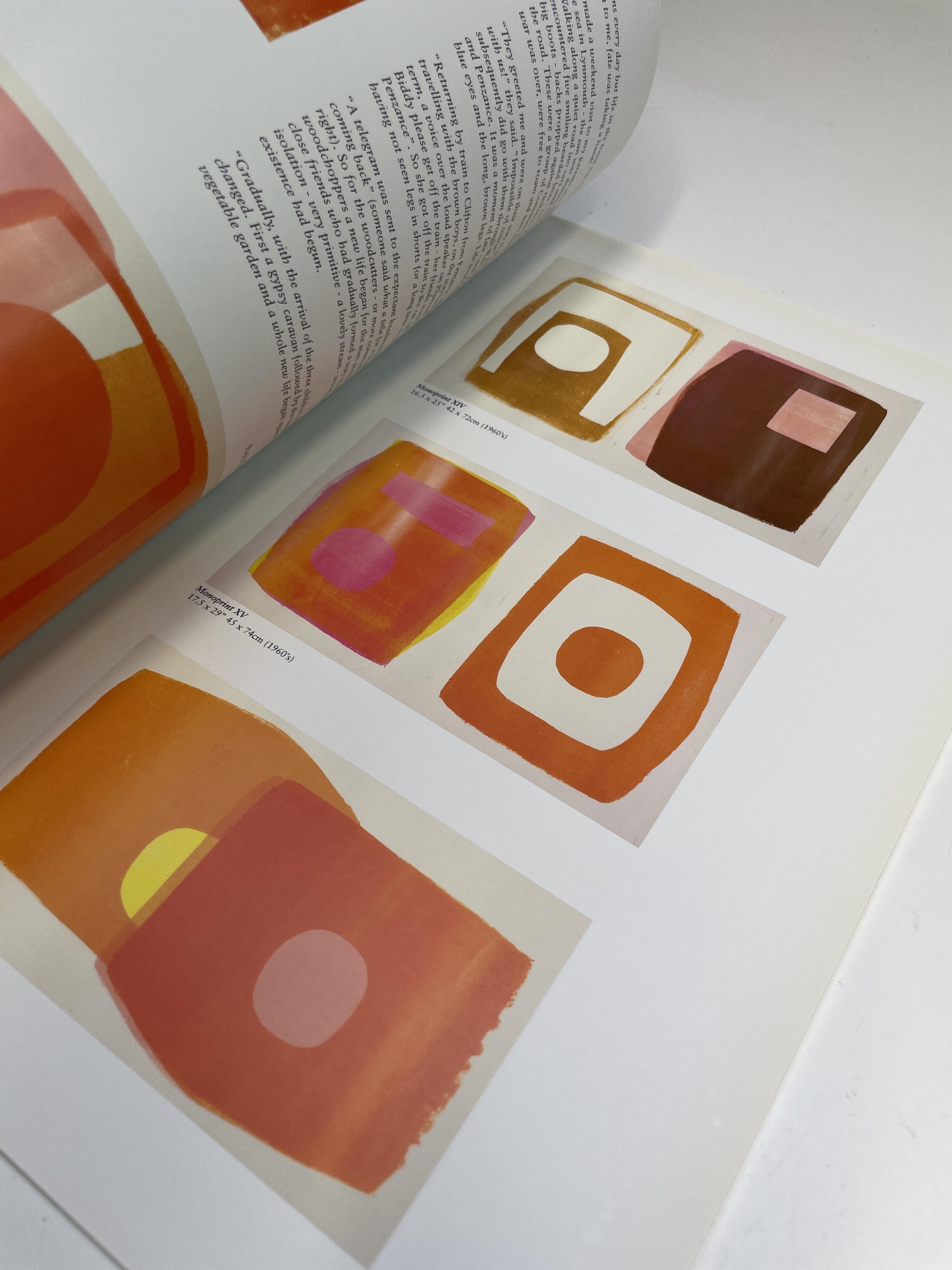 Biddy Picard | A life's work (2005) | MutualArt
