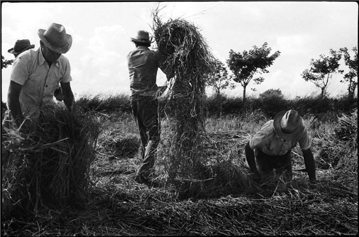 Gilda Pérez: From the Cuban Countryside to Post-Cold War U.S.
