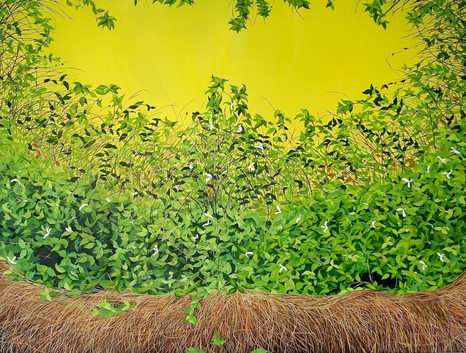 Allison Green | Yellow Thicket (Thicket #3) (2011) | MutualArt