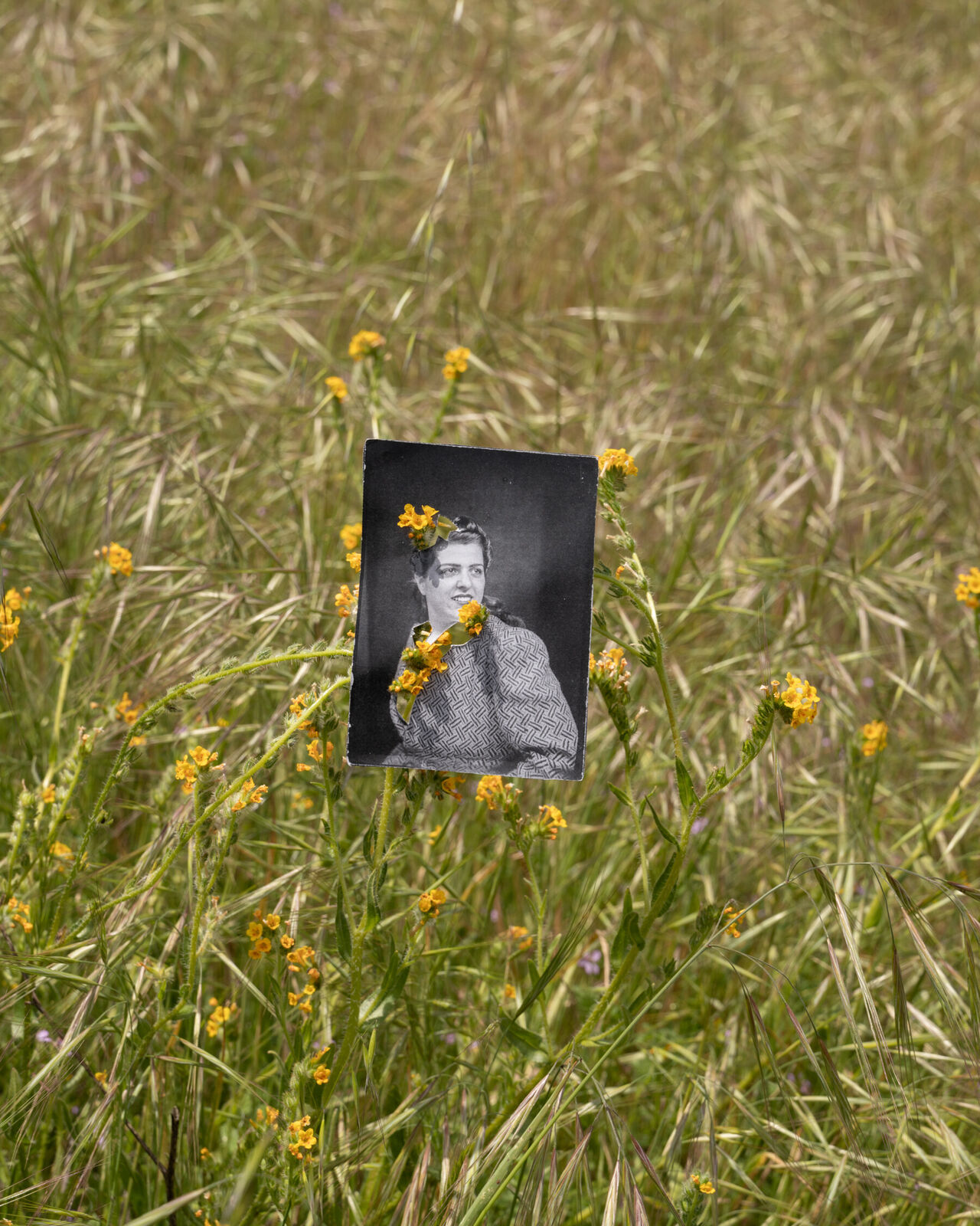 Amy Elkins | A Place Where We are in The Sun 06 **Šahuču / Solvang ...