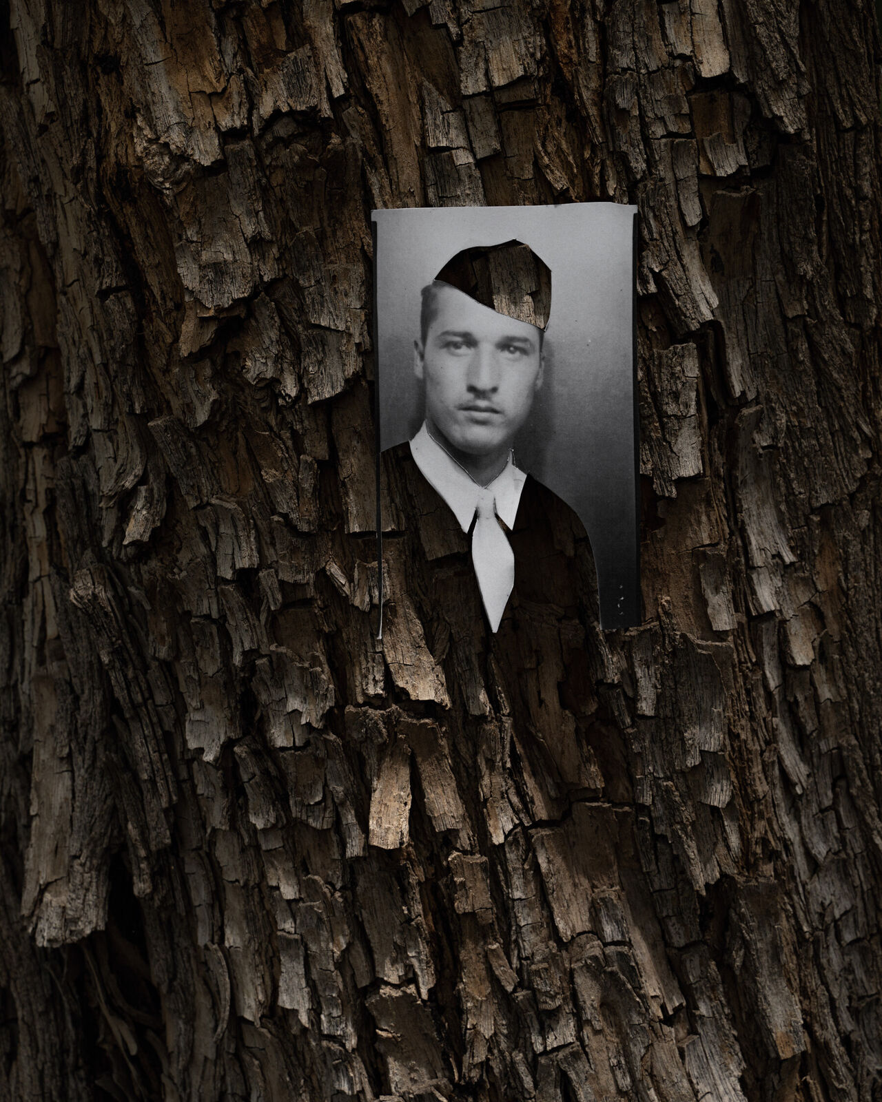 Amy Elkins | A Place Where We are in The Sun 13 **Akuuragna / Pasadena ...