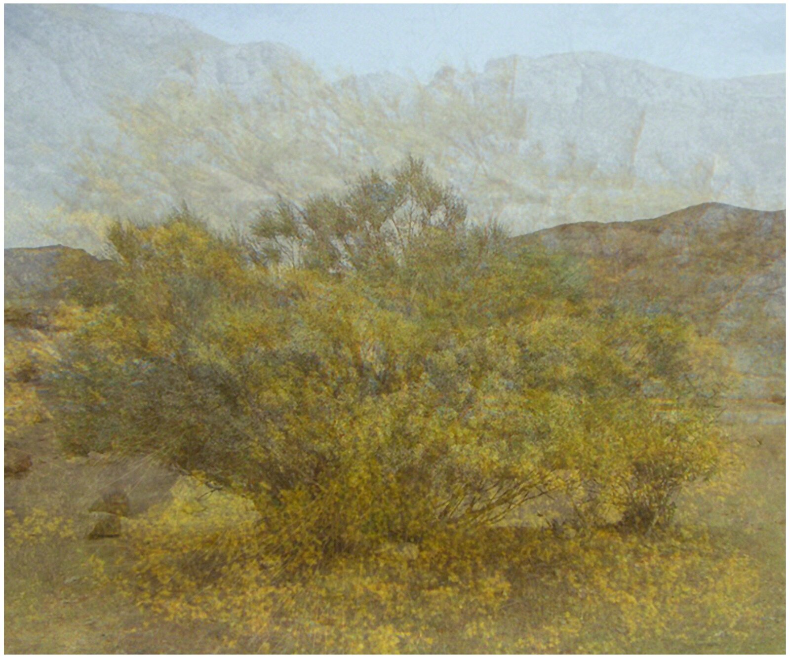 Amy Elkins | Five Years out of a Death Row Sentence (Dying Wish- Ratama ...