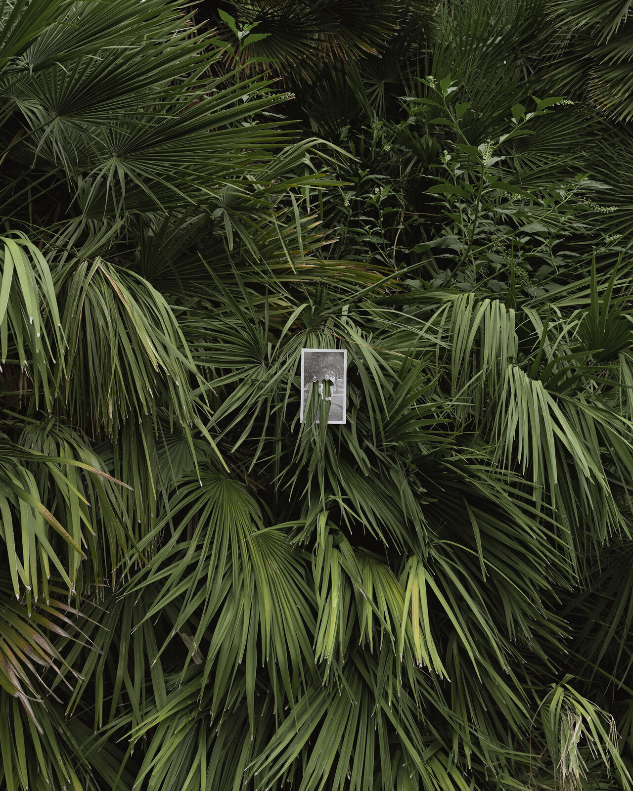 Amy Elkins | A Place Where We are in The Sun 05 5 **Akuuragna ...