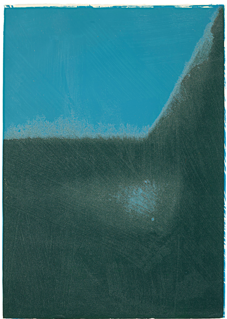 Andy Warhol | Shadows I, II.208 (1979) | MutualArt