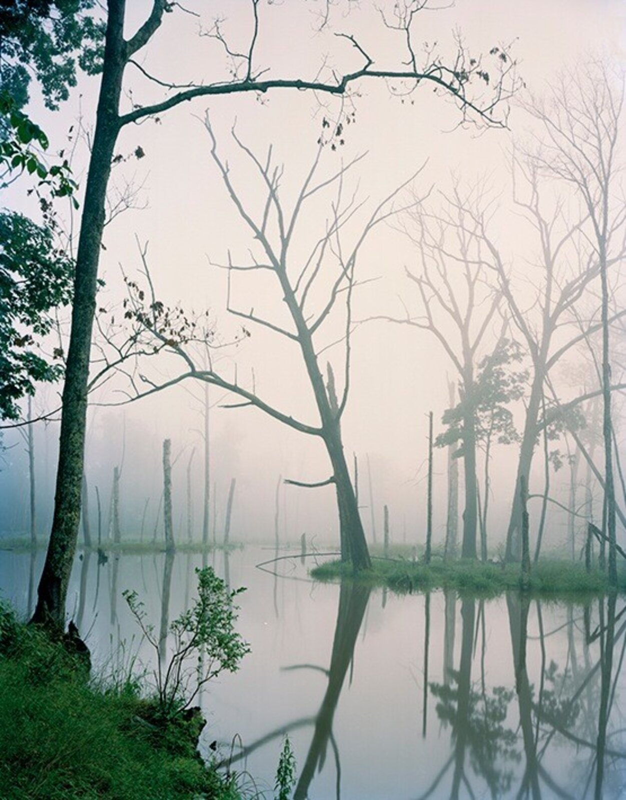 Carolyn Monastra | Land of the Lost (2009) | MutualArt