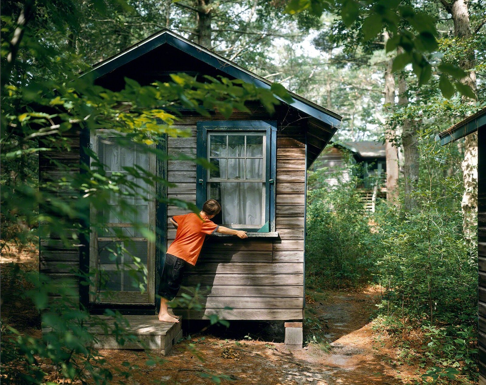 Carolyn Monastra | The Curious Boy (2001) | MutualArt