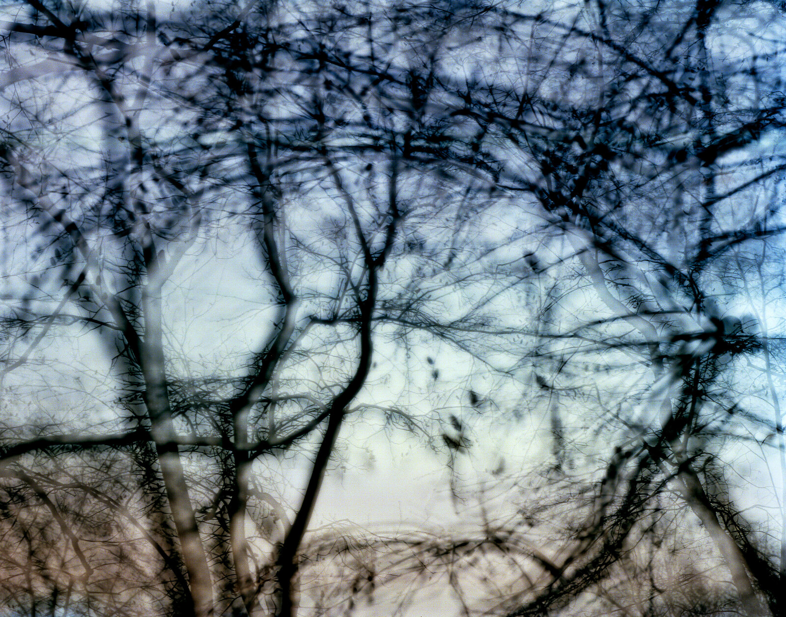 Carolyn Monastra | lovely, dark and deep #22 (2008) | MutualArt