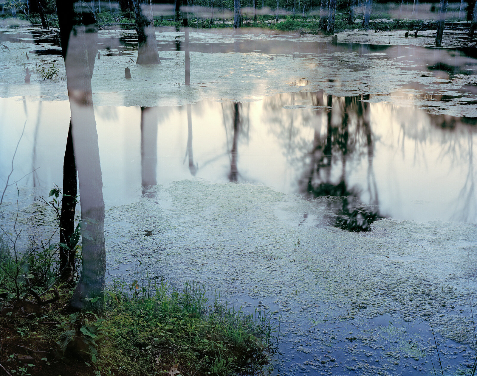 Carolyn Monastra | lovely, dark and deep #14 (2007) | MutualArt
