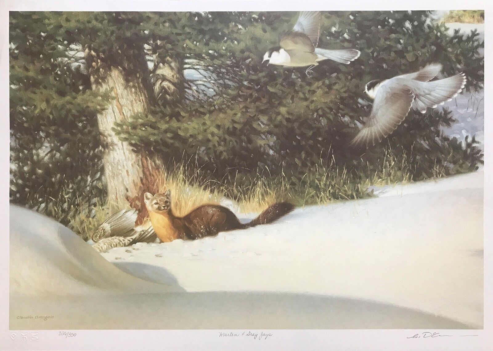 Claudio D'Angelo | MARTEN AND GRAY JAYS (circa 2000) | MutualArt