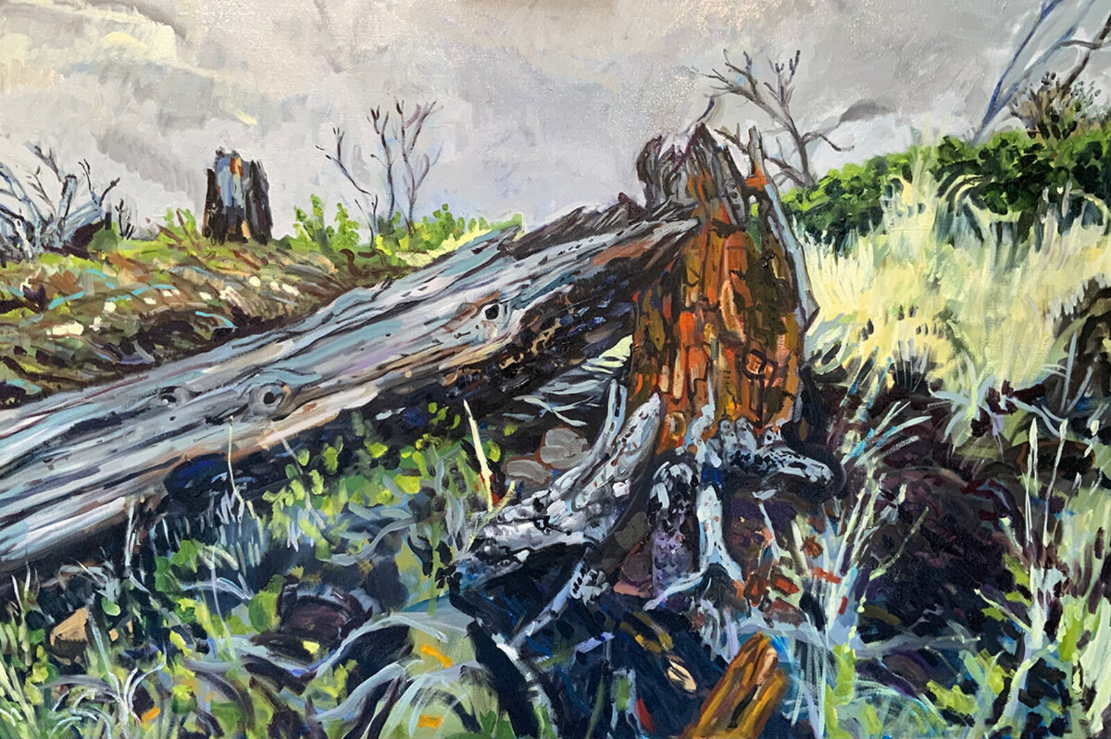 Daniel Duford | Fire Fallen Tree, Punch Bowl (2024) | MutualArt