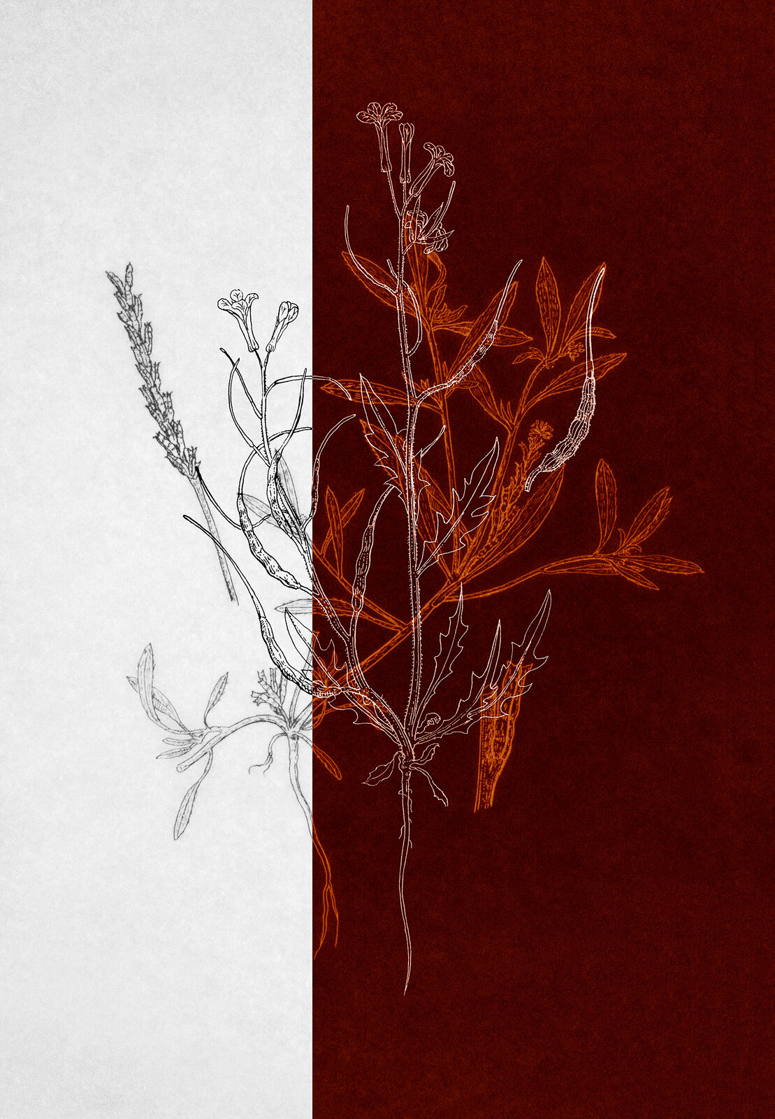 Dor Guez | Knowing the Land #1 (2022) | MutualArt