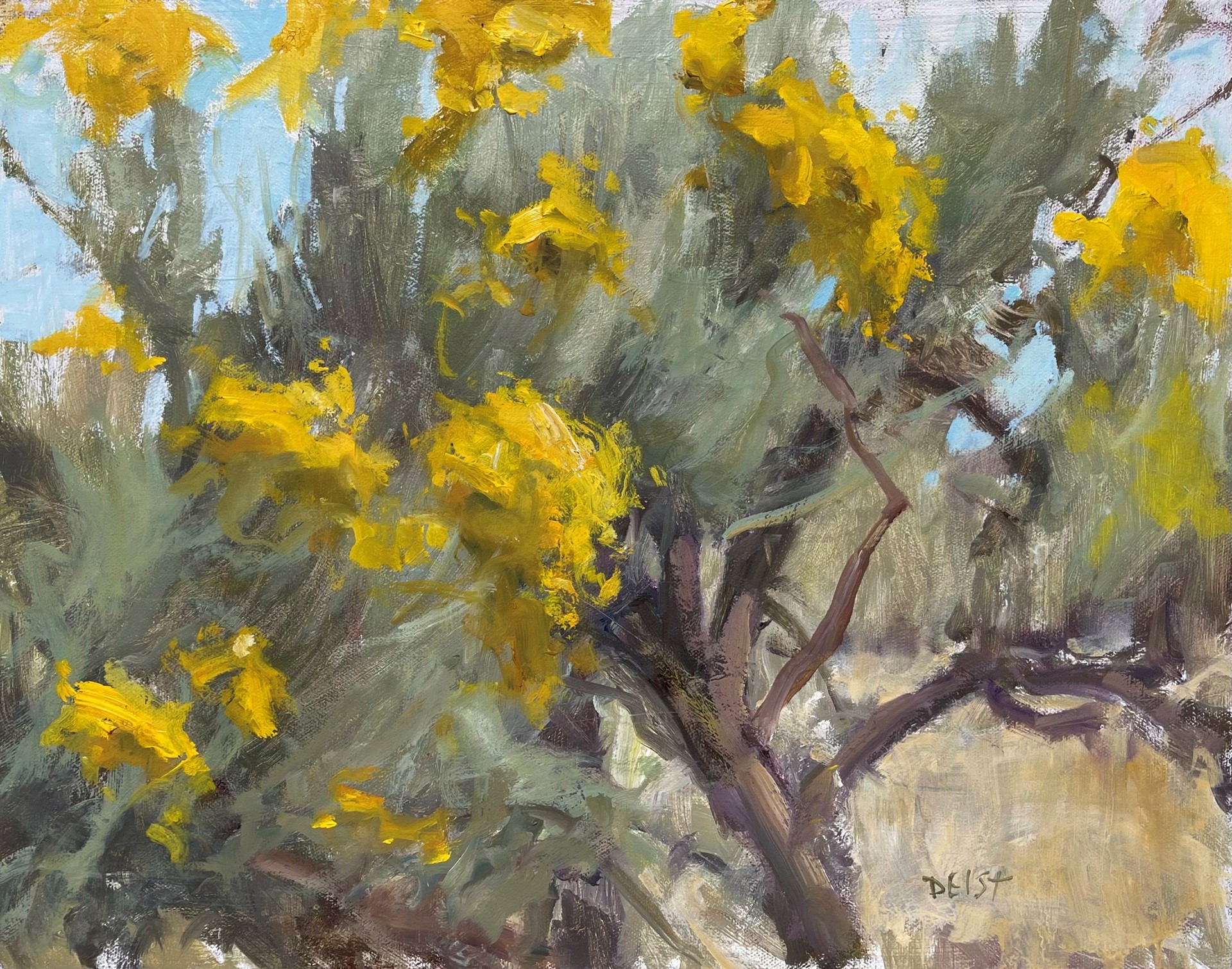 Harold Deist | Sunny Chamisa (2023) | MutualArt