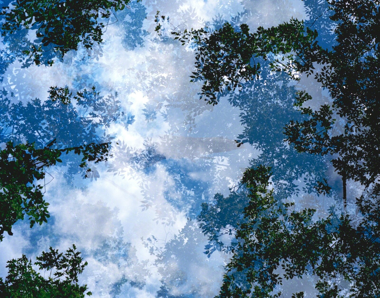 Leah Oates | Transitory space #21 (2012-2014) | MutualArt