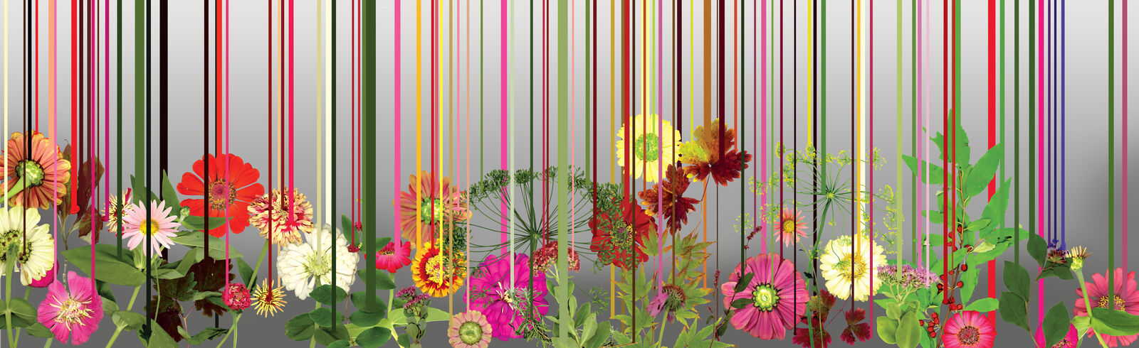 Lisa Stefanelli | Forager Series: 18042, 9/2016 (2016) | MutualArt