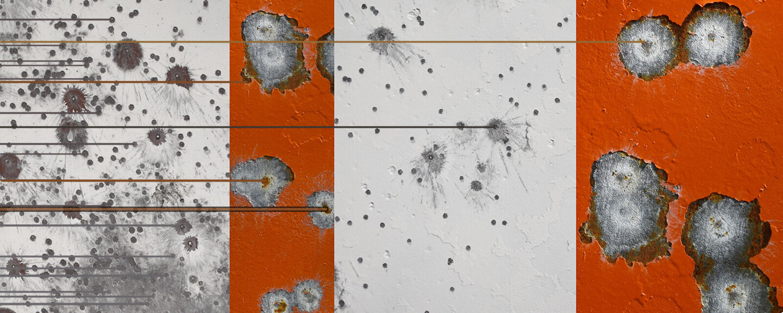 Lisa Stefanelli | SHOT_Black (2023) | MutualArt