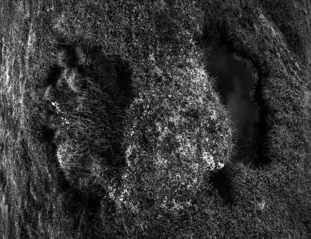 Mari Amman | Neoplatonic (2018) | MutualArt
