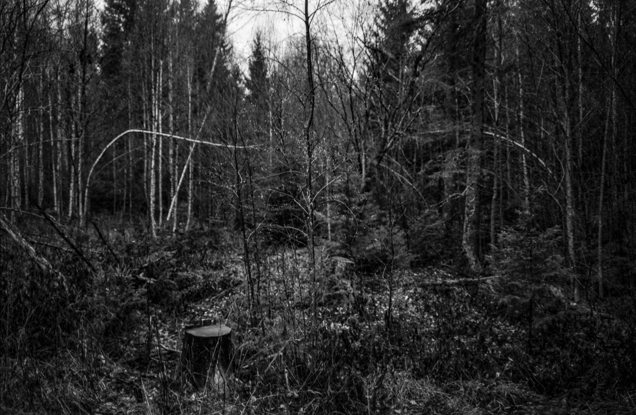 Mari Amman | Tungtvann Heavy Water #102 (2017) | MutualArt