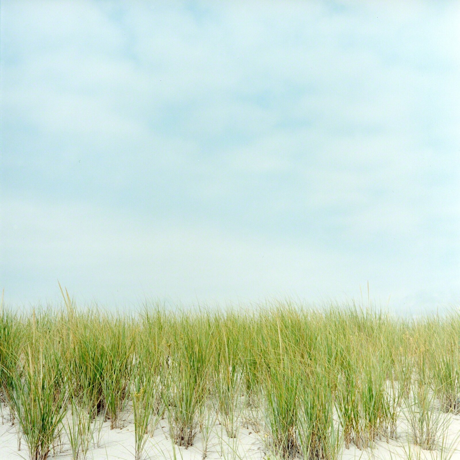 Maria Passarotti | Dunes (2005) | MutualArt