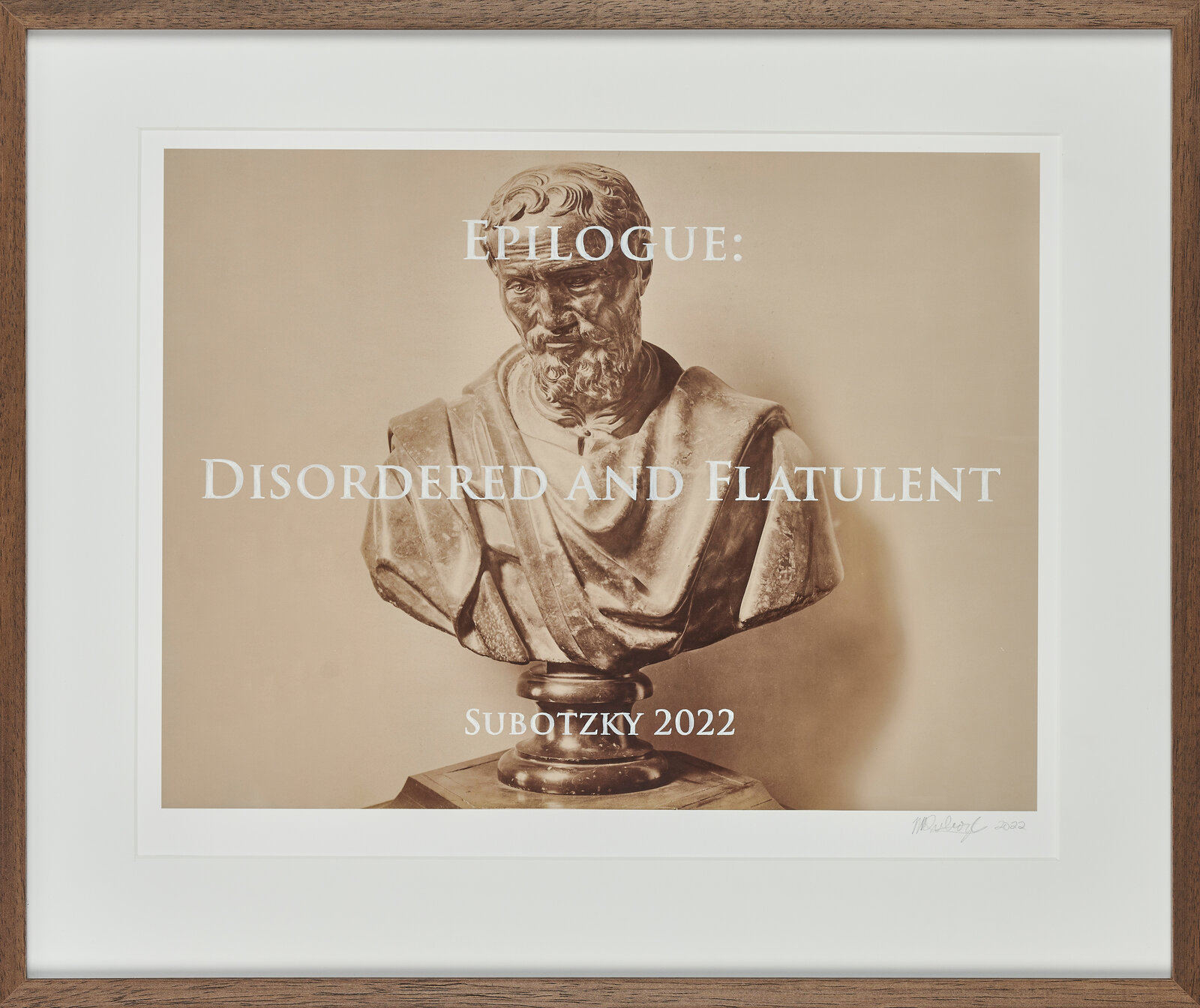 Mikhael Subotzky | I – Epilogue: Disordered and Flatulent (2022 ...