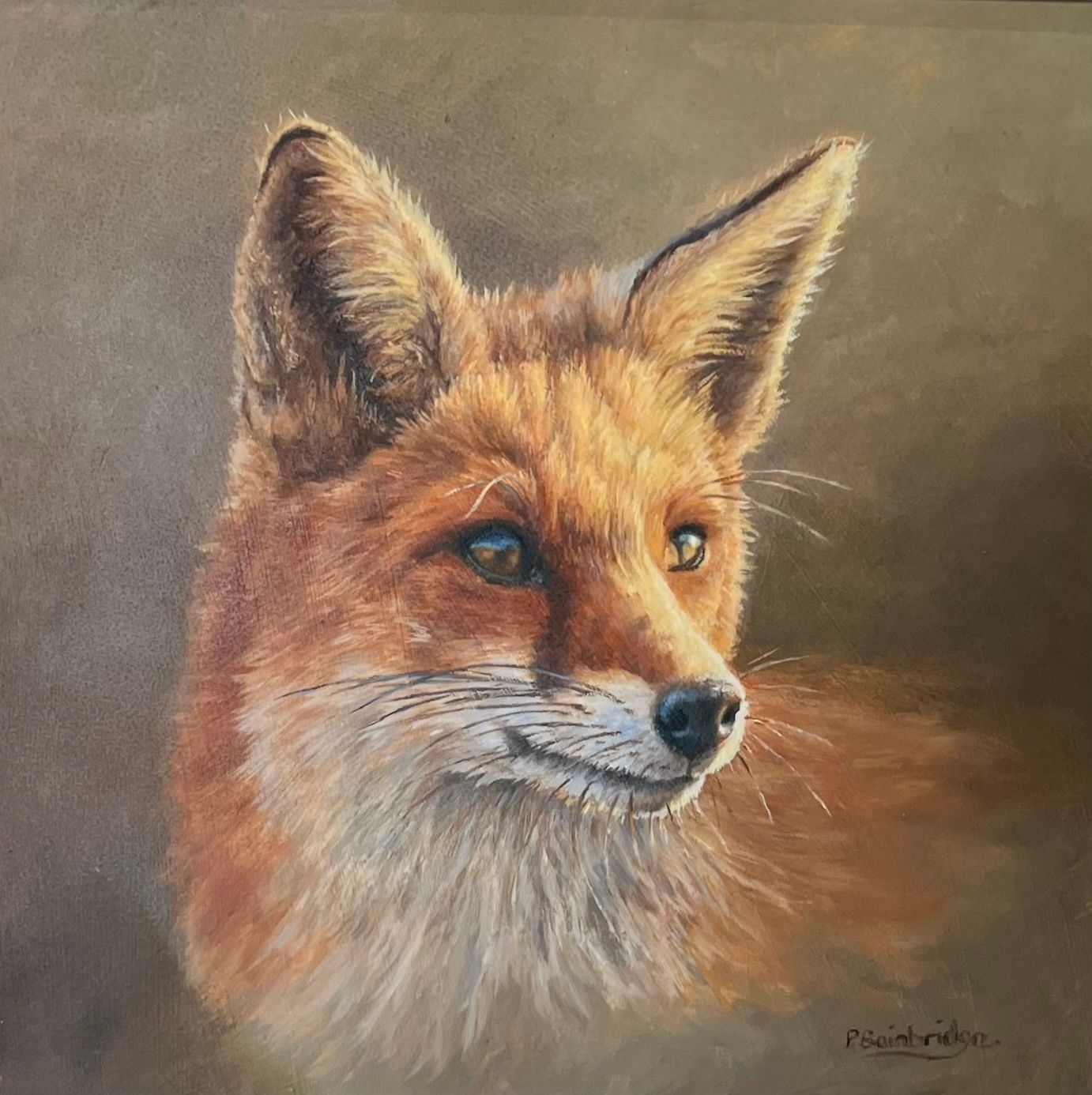 Peter Bainbridge | Fox Portrait (2025) | MutualArt