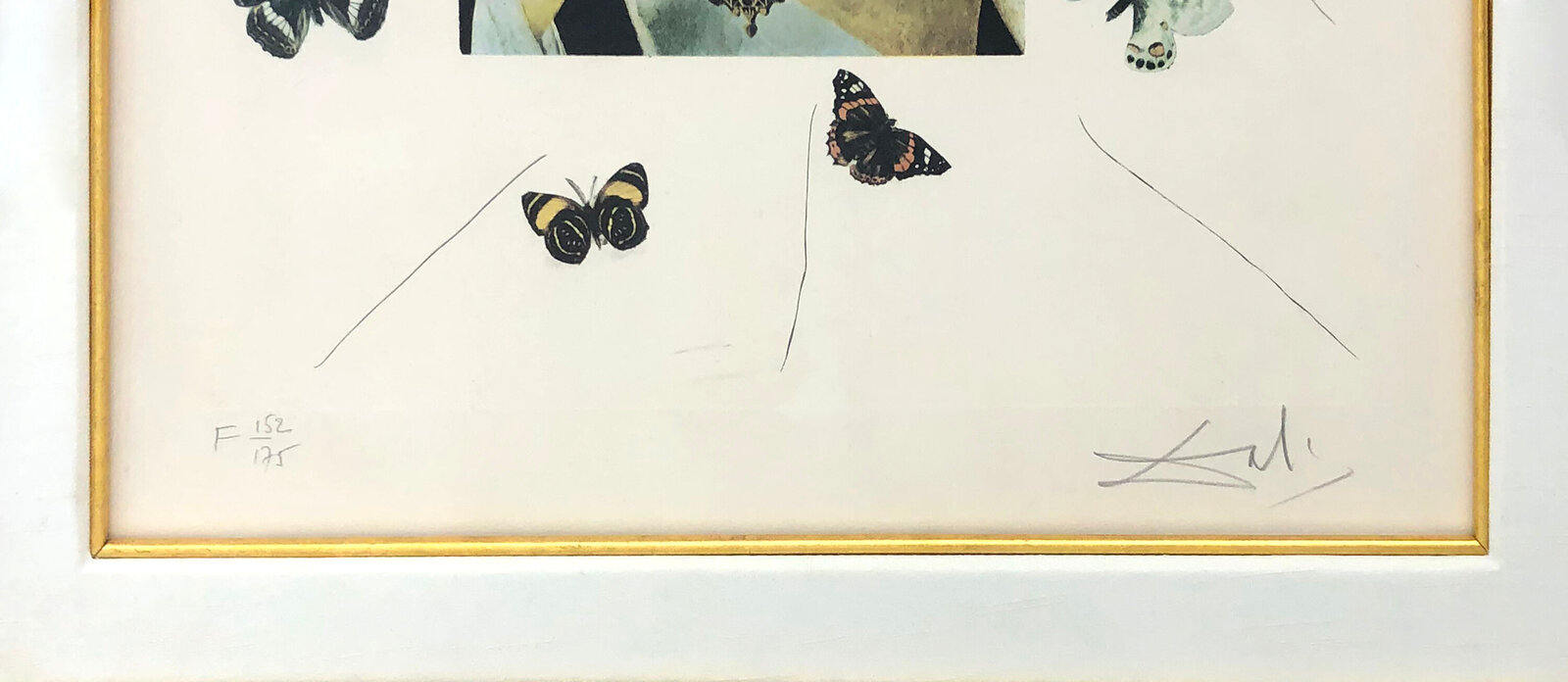 Salvador Dalí | Surrealistic Portrait Of Dali Surrounded By Butterflies ...